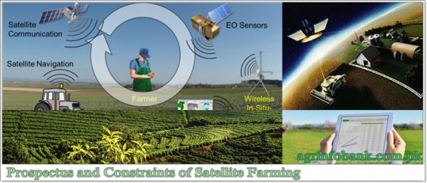 Prospectus and Constraints of Satellite Farming - Agriculture ...
