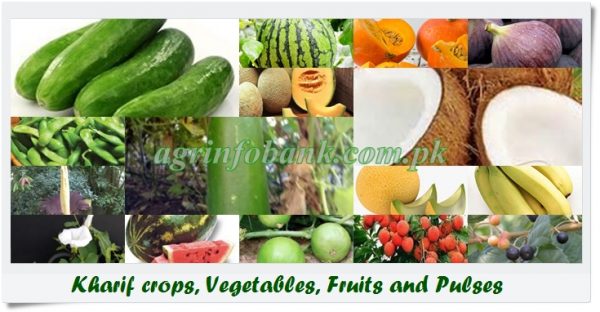 Kharif crops, Vegetables, Fruits and Pulses - Agriculture Information Bank