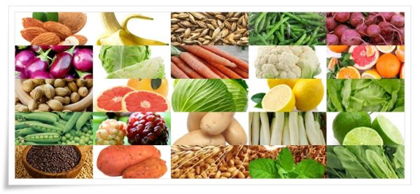 Rabi and Kharif Classification in Pakistan - Agriculture Information Bank