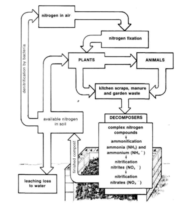How Compost Is Produced - Agriculture Information Bank