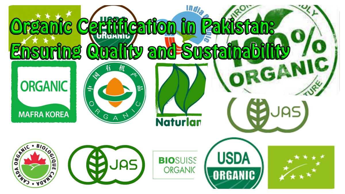 Organic Certification in Pakistan: Ensuring Quality and Sustainability ...