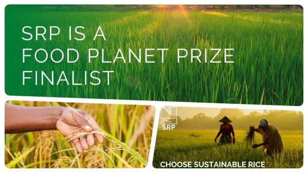 The Procedure of Sustainable Rice Platform (SRP) Certification ...