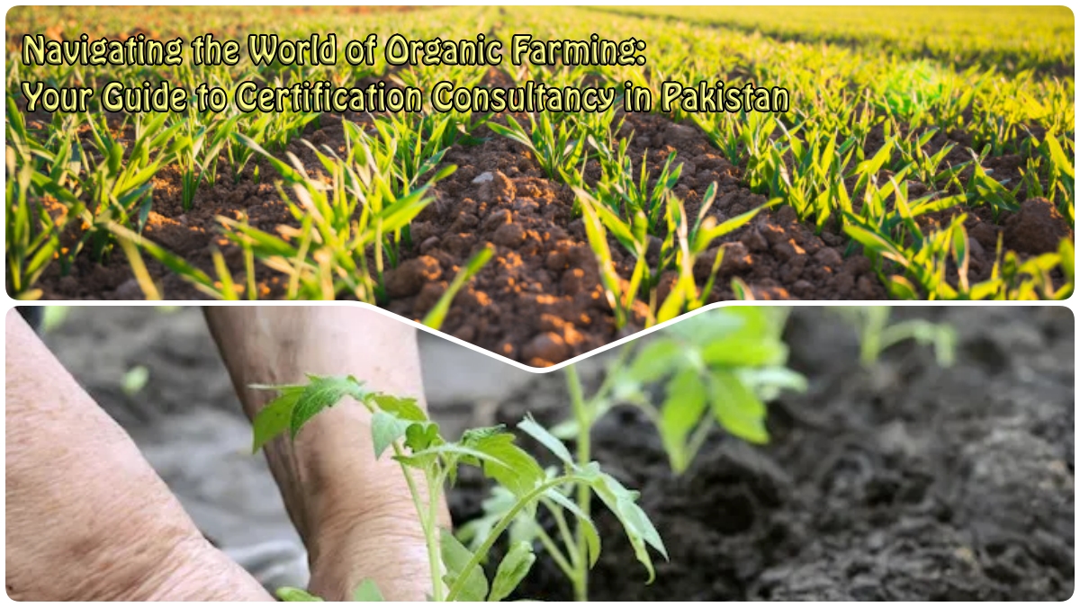 Navigating the World of Organic Farming: Your Guide to Certification Consultancy in Pakistan ...