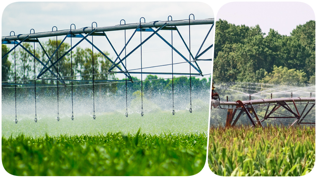 Exploring the Diverse Types of Irrigation Systems in Agriculture ...