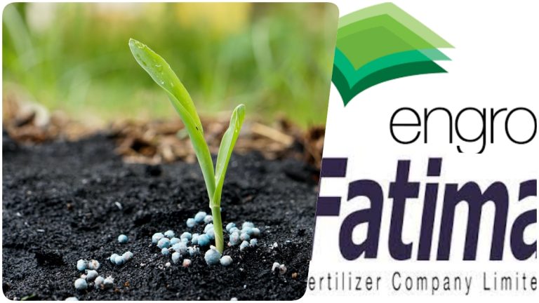 Fertilizer Firms in Pakistan: Driving Agricultural Prosperity ...